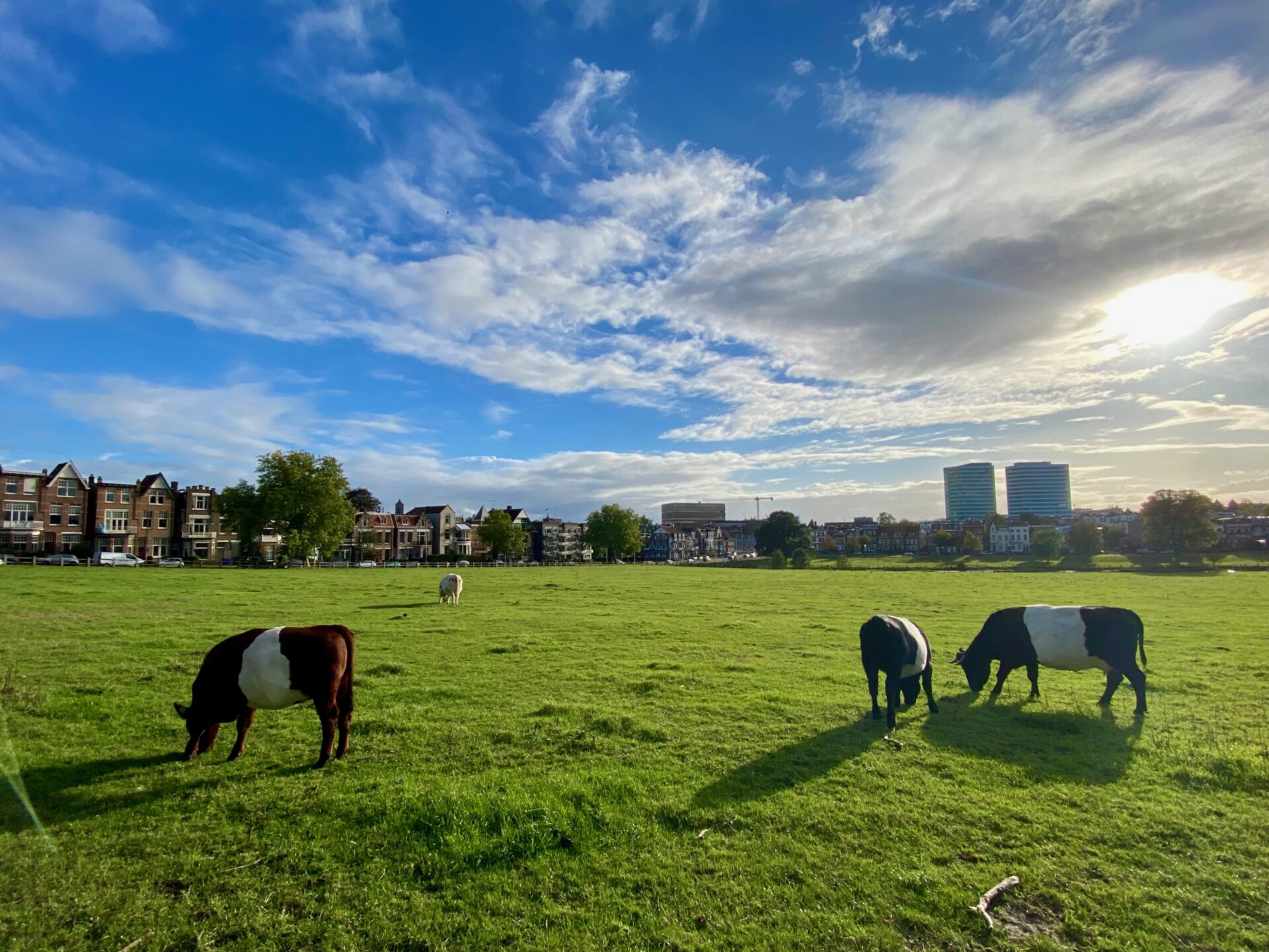 Intratuin Arnhem - #intoarnhem